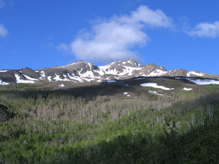 NWBirding Great Basin Desert