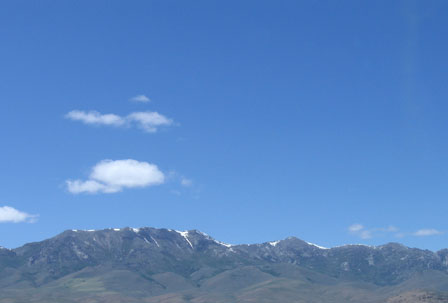 NWBirding Great Basin Desert